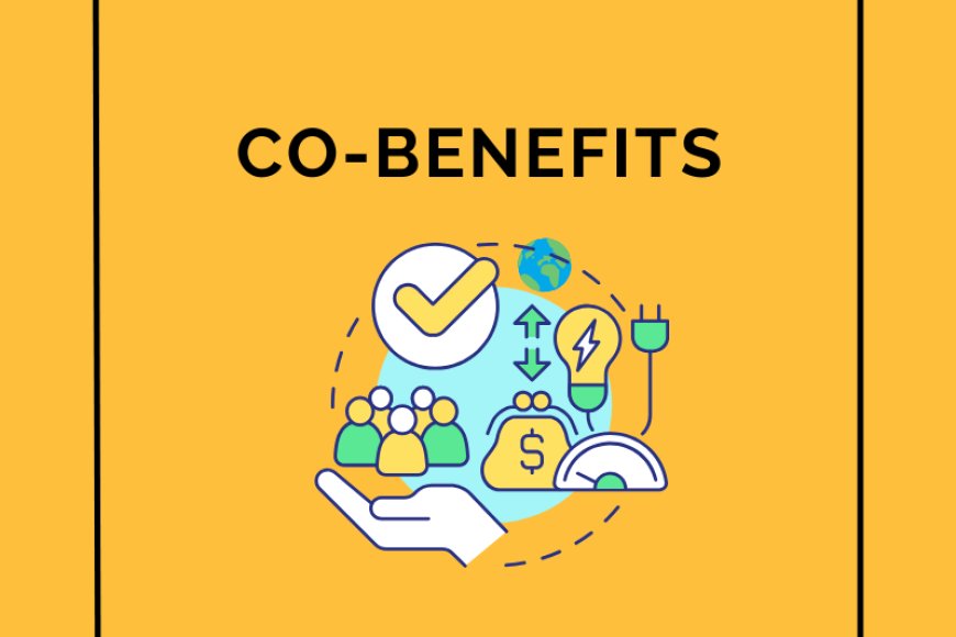 Co-benefits - Africa Policy Research Institute (APRI)