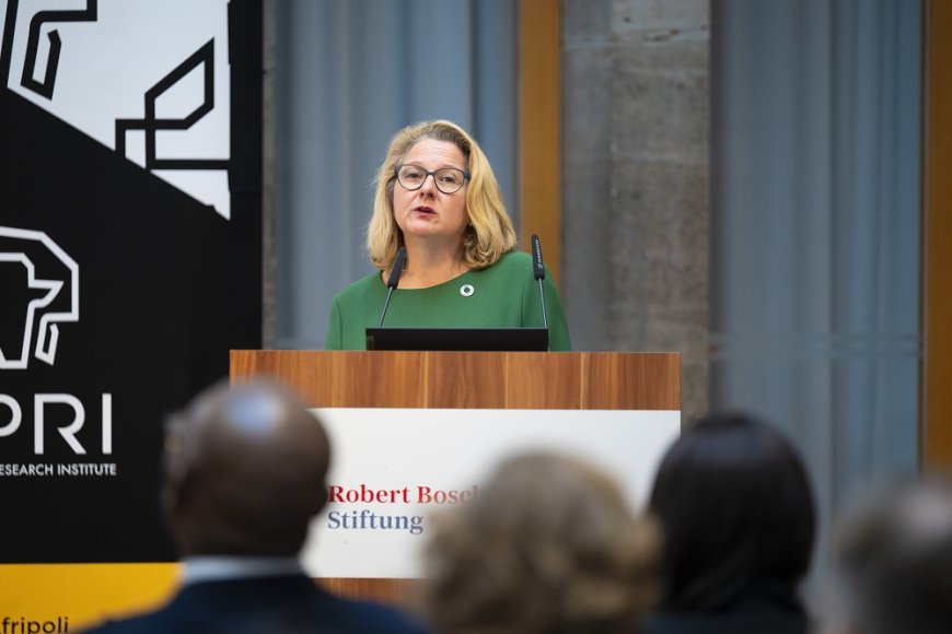 Africa Policy Research Institute launches ‘Africa in the World’ series ...